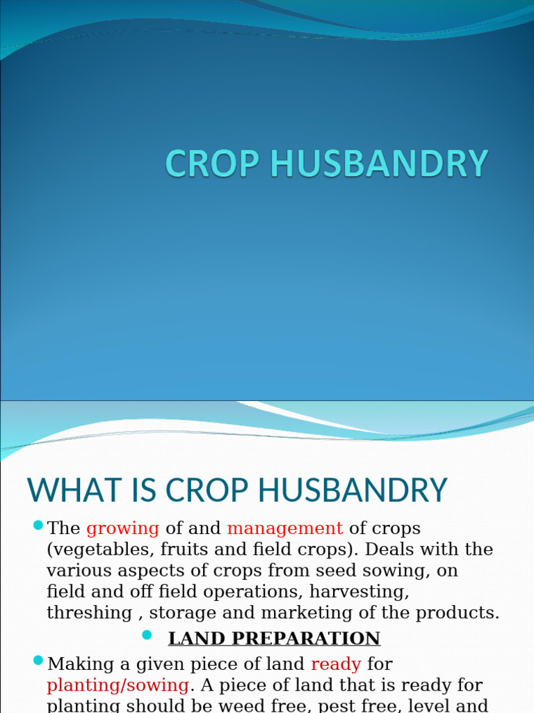 Module 2.2 Crop Husbandry | PDF | Maize | Pest (Organism)