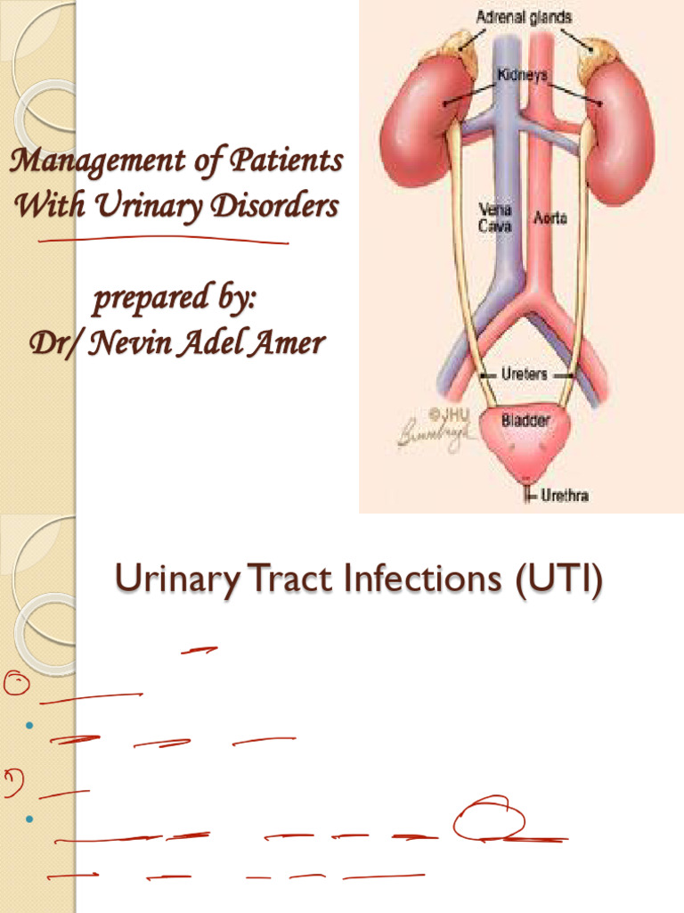 5-part 2-urinary tract disorders | PDF | Urinary Tract Infection ...