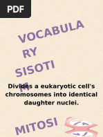Amoeba Sisters Cell Cycle-1 | PDF | Mitosis | Chromosome
