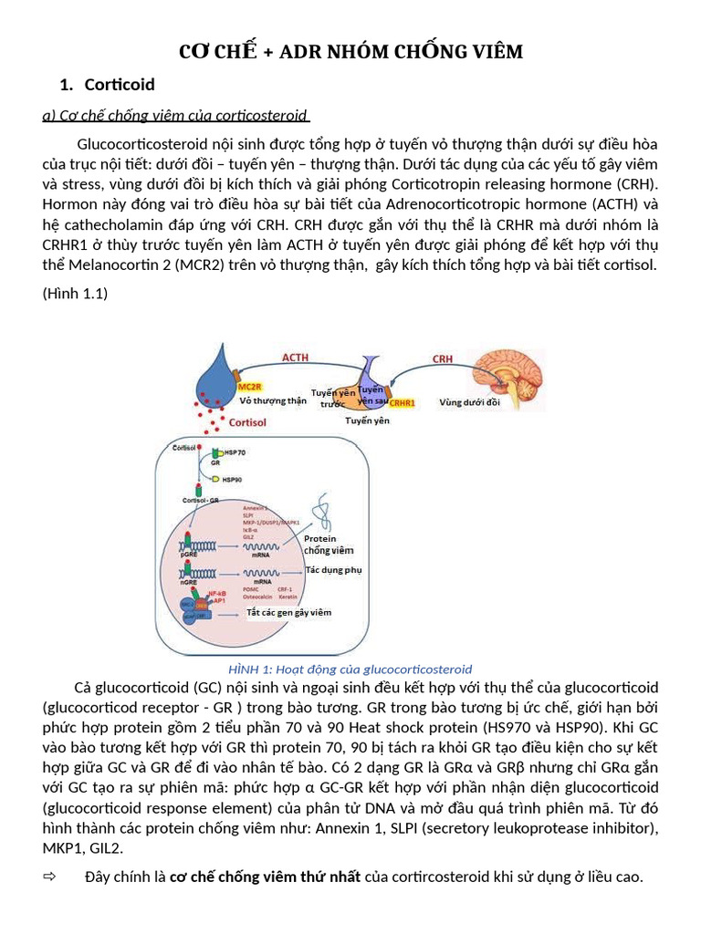Cơ Chế Và ADR Thuốc Chống Viêm Bản Đăng Page | PDF
