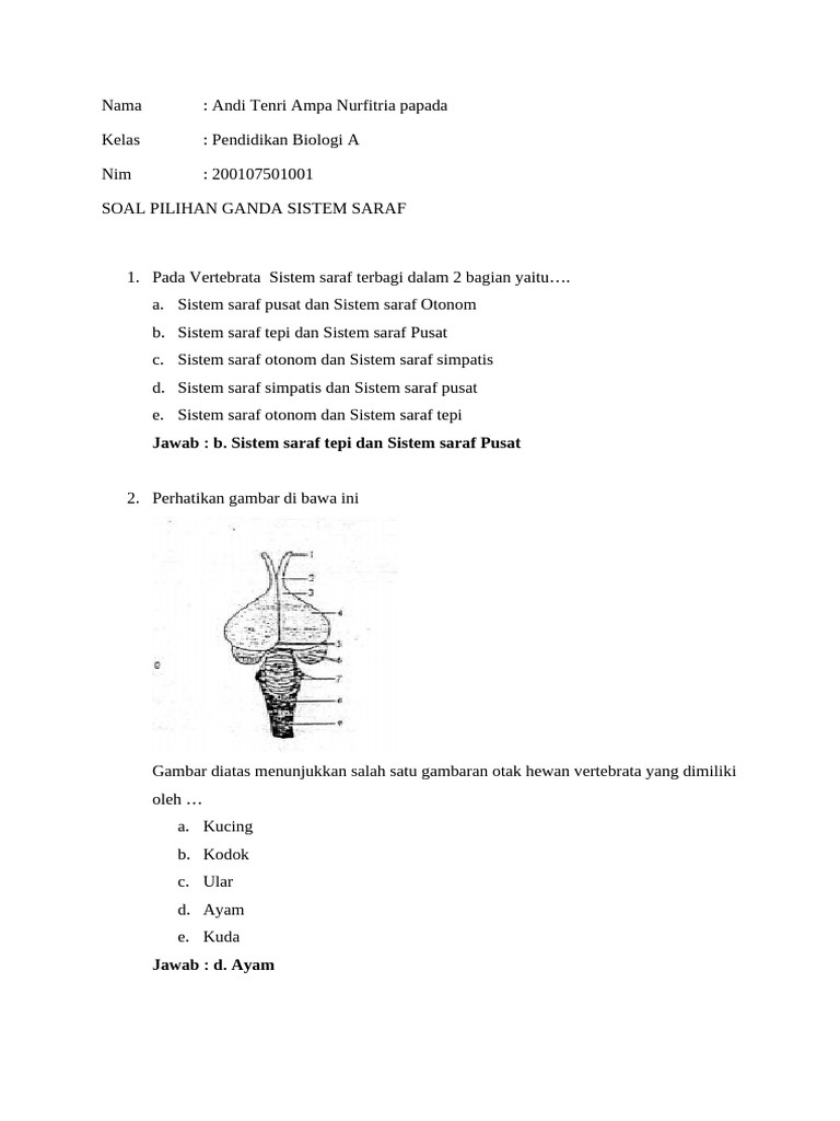 Soal Pilihan Ganda - Andi Tenri Ampa Nurfitria Papada - 200107501001 | PDF | Metode & Bahan Ajar
