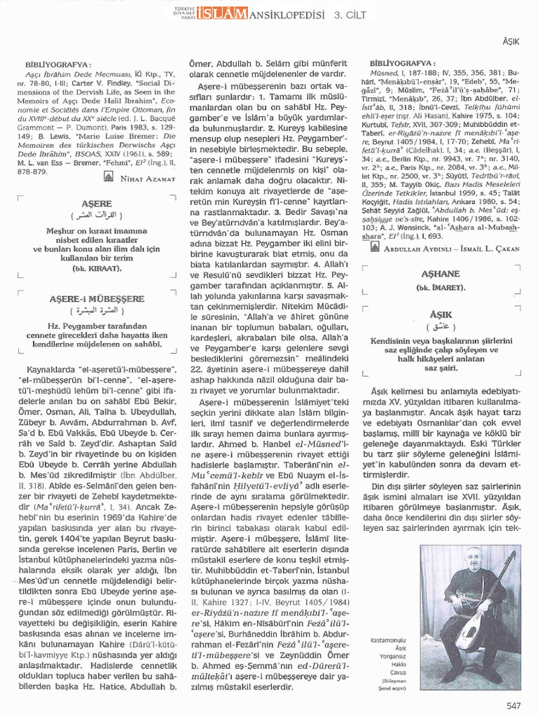 1 Nurettin Albayrak - Âşık Maddesi TDV İA | PDF