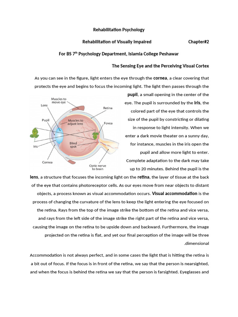 Rehab Chap 2.docx Visual | PDF | Visual Impairment | Retina