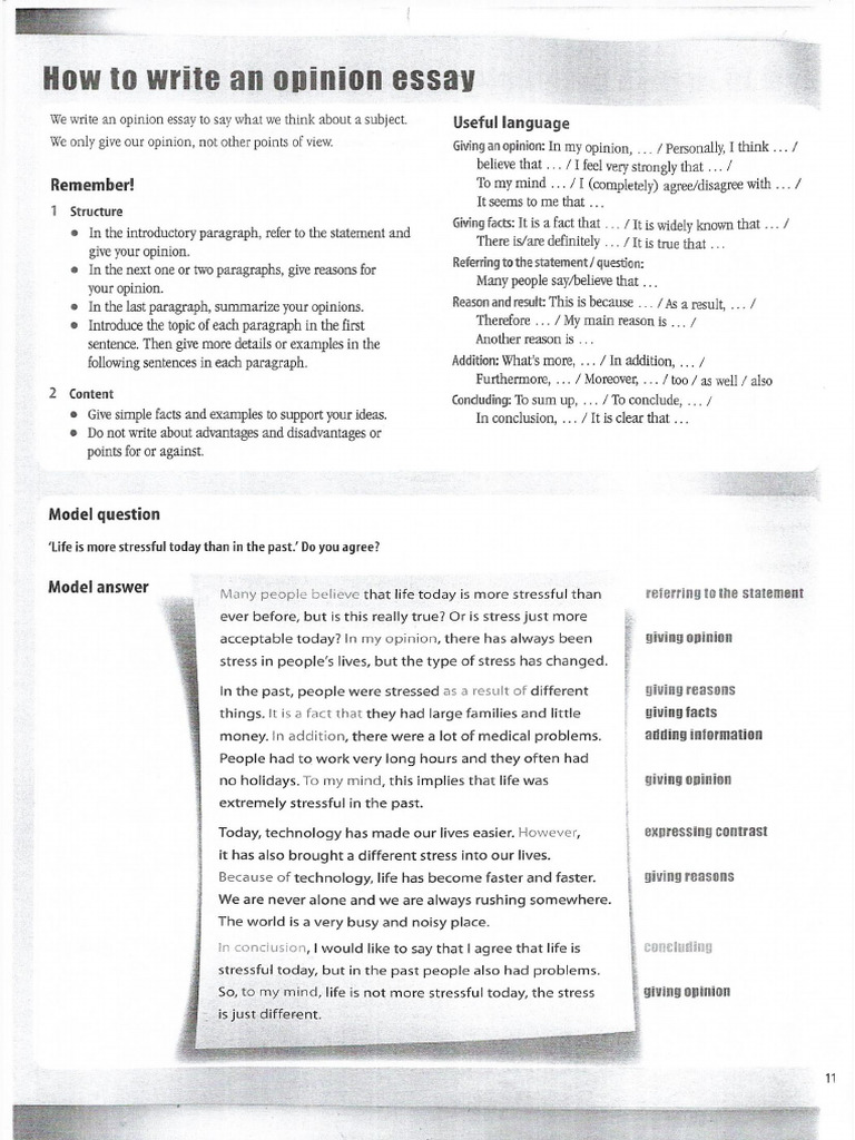 An Opinion Essay | PDF