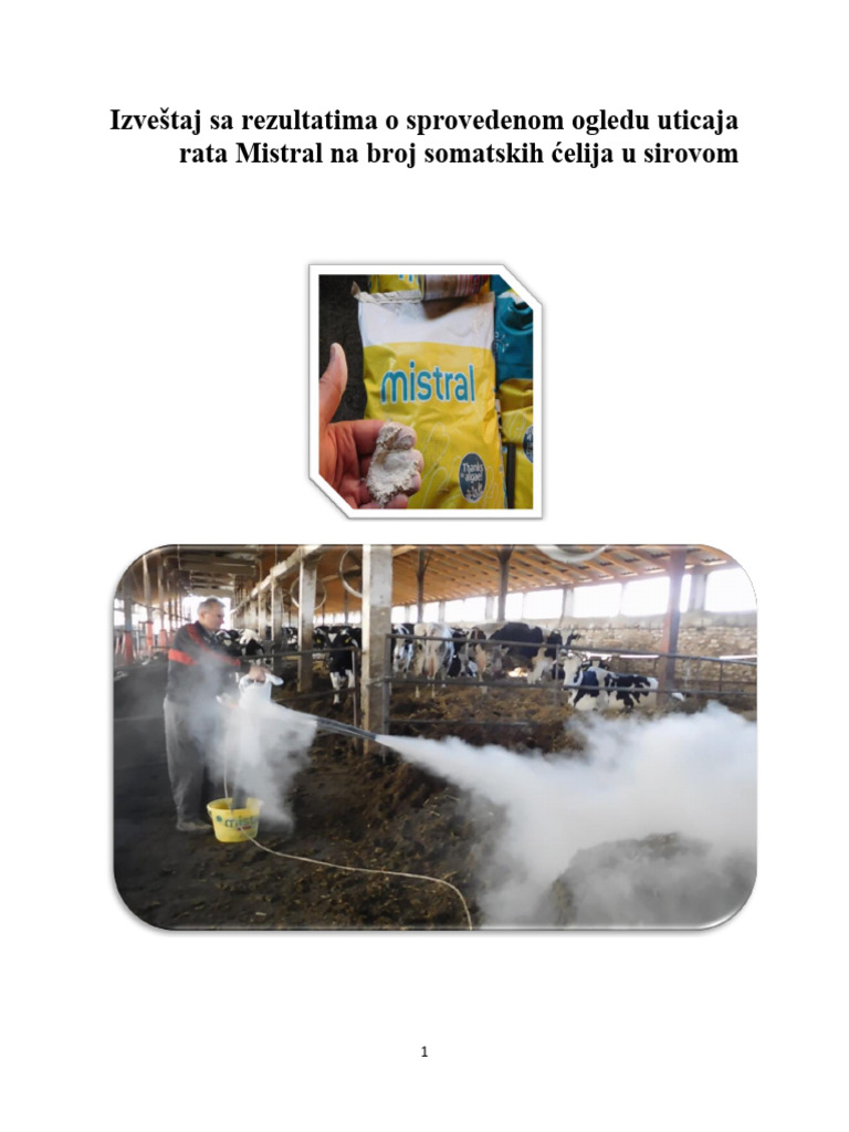 Izvestaj Ogleda Mistral | PDF