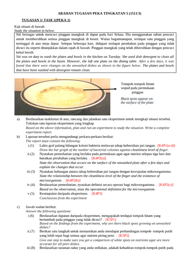 Arahan Tugasan Peka Tingkatan 5 2023-2024 2 | PDF