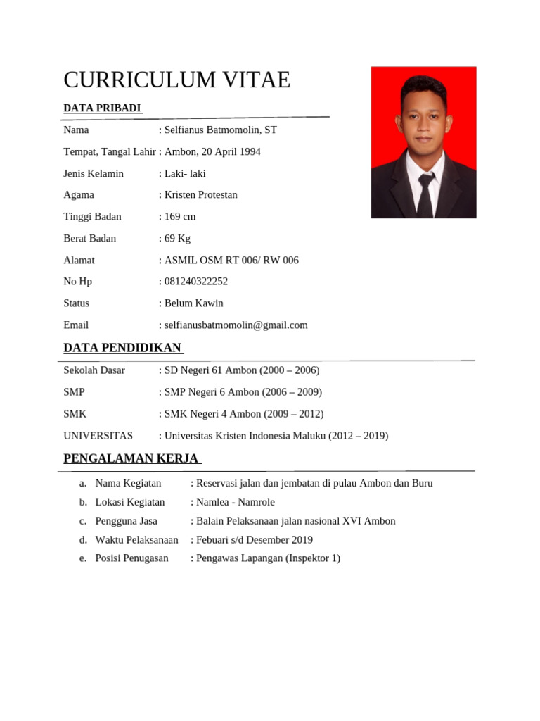 CURRICULUM VITAE Nus | PDF
