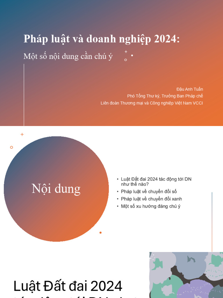 Tổng hợp pháp luật và DN 2024 | PDF