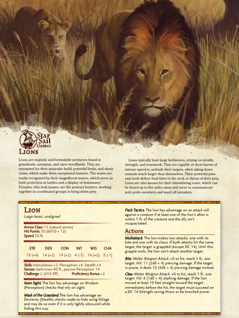 Lions | PDF | Predation | Lion