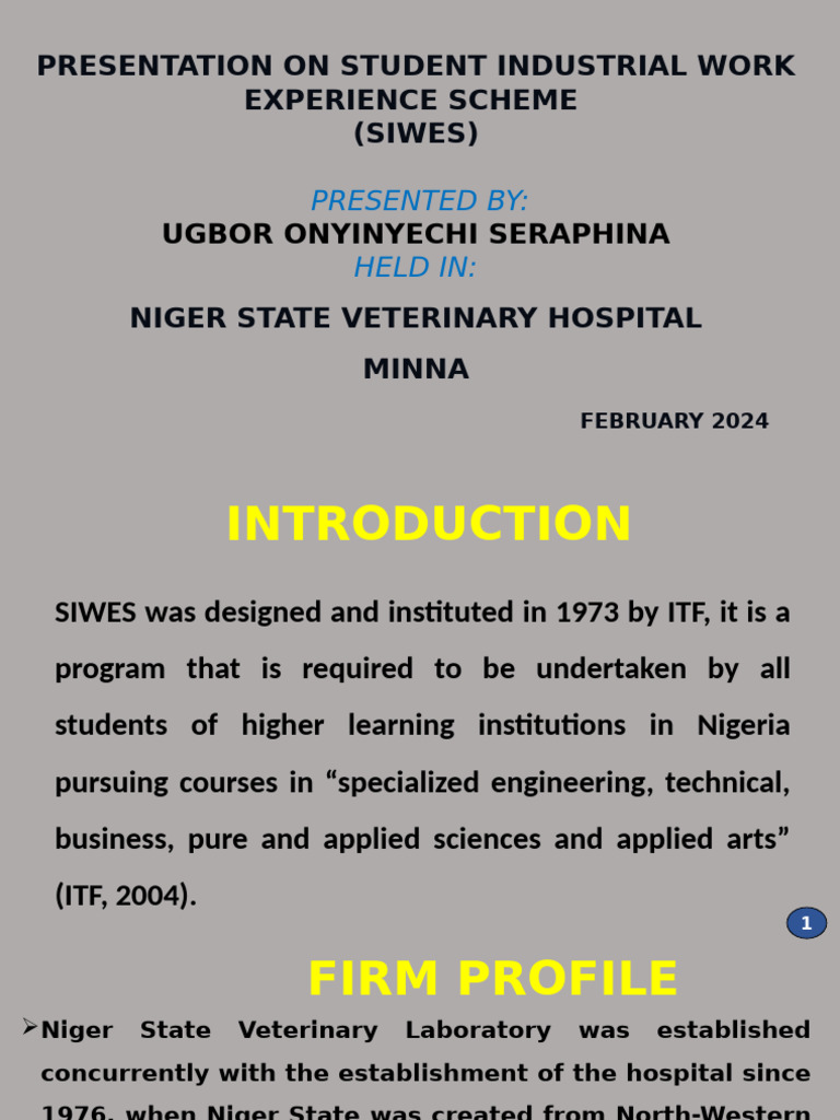 SIWES - Presentation Seraphina Chinetugo | PDF | Diseases And Disorders | Medicine