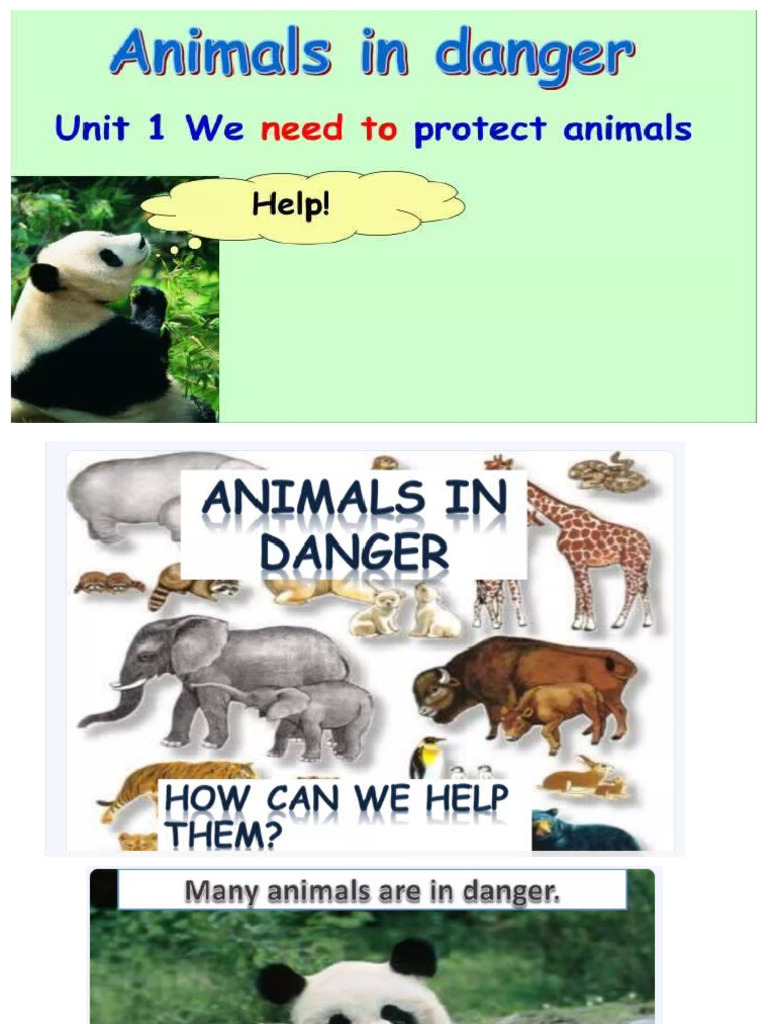 Animals in Danger | PDF | Endangered Species | Conservation Biology