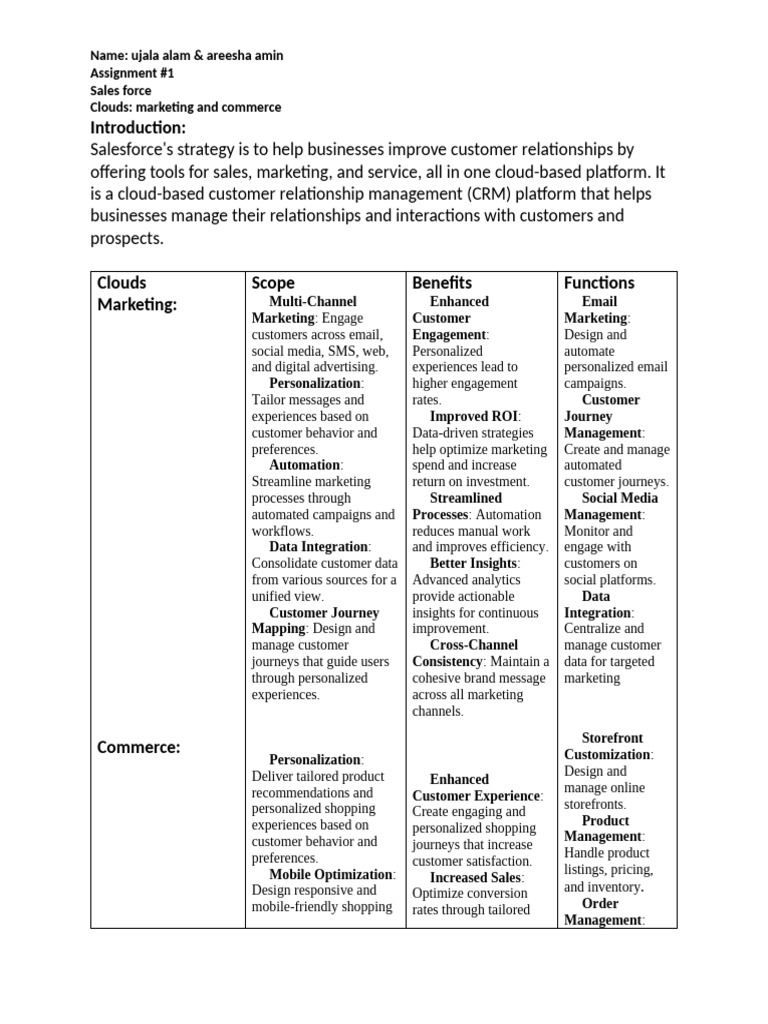 MIS Assignment #1 | PDF | Customer Relationship Management | Marketing