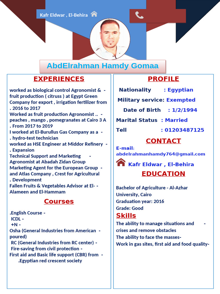 AbdElrahman Hamdy Gomaa | PDF | Business | Technology & Engineering