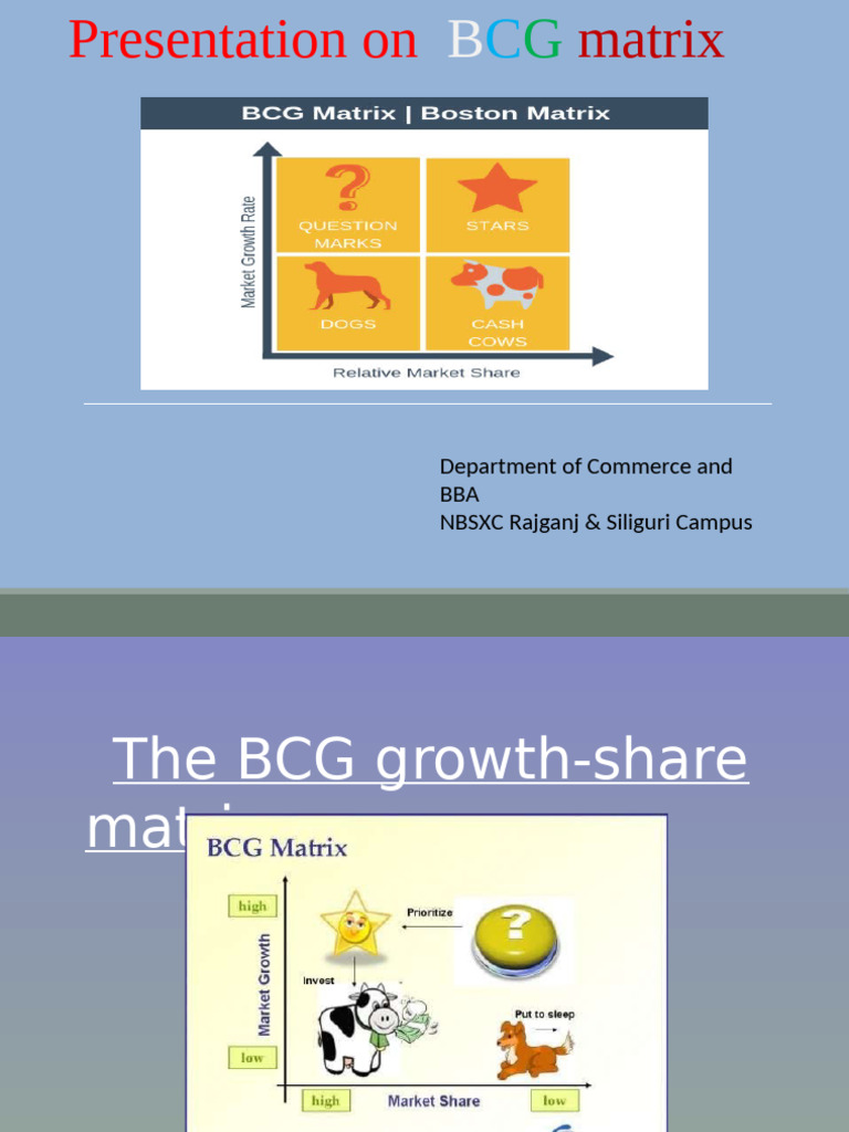 BCG Ron | PDF | Finance & Money Management