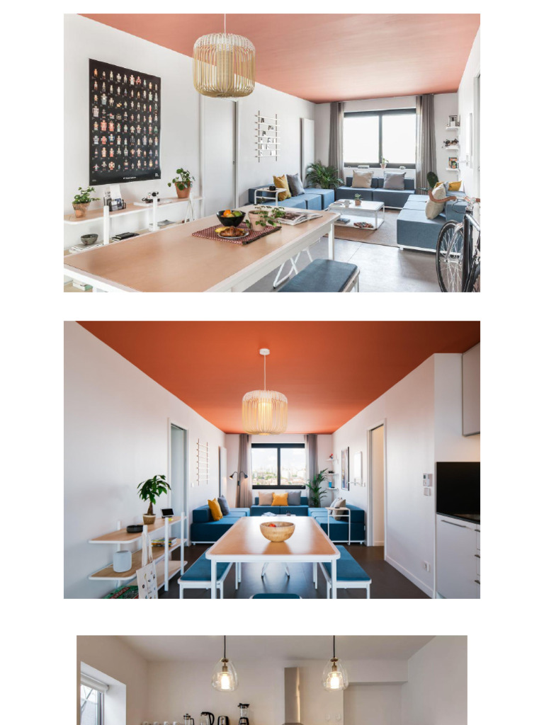Coliving | PDF