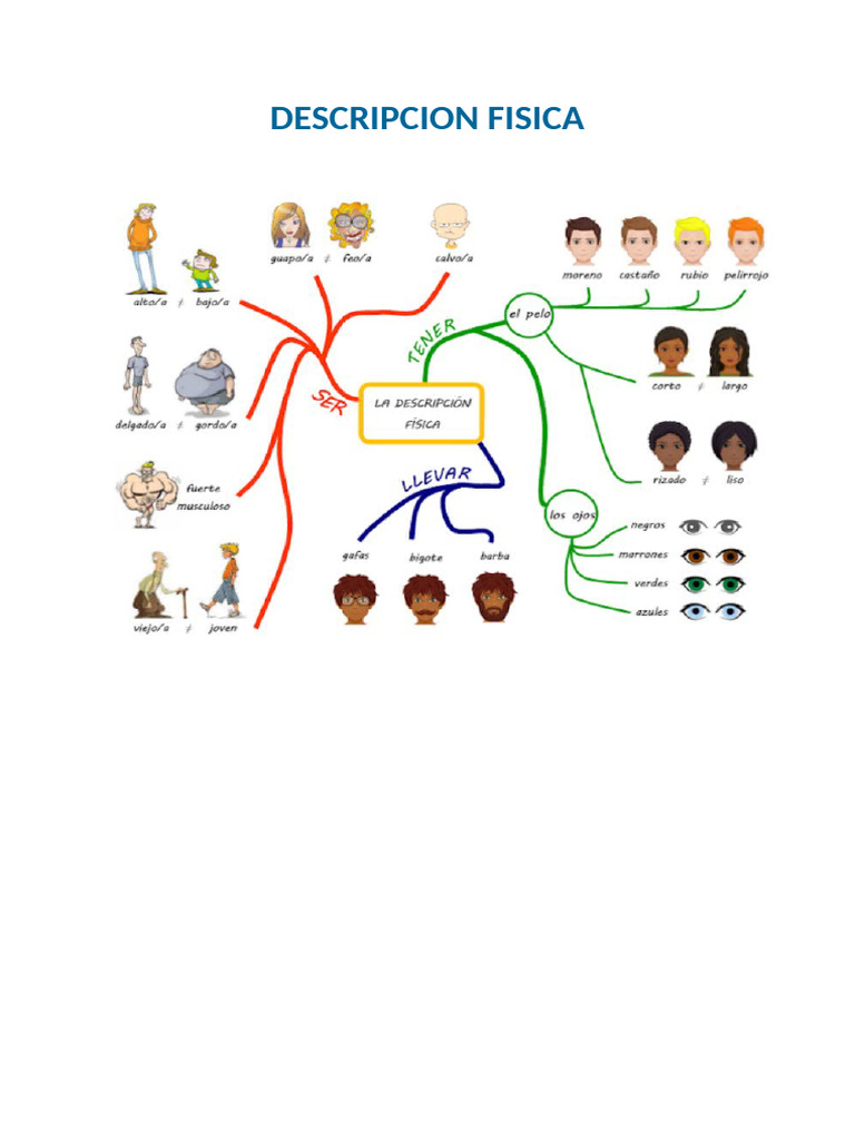 4 - A1 - Descripcion Fisica | PDF