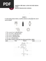 Parts of Plants: Worksheets for Grade 4 | PDF | Plant Stem | Leaf