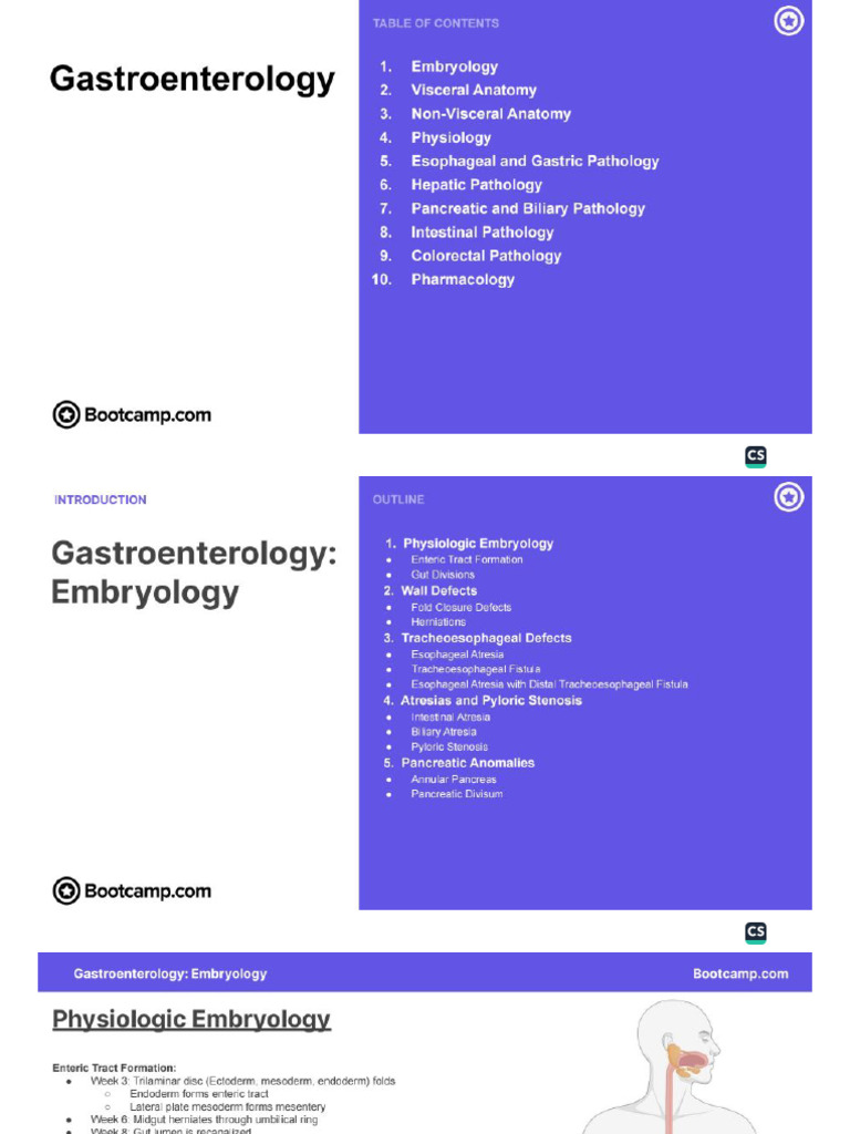 Gastroenterology | PDF