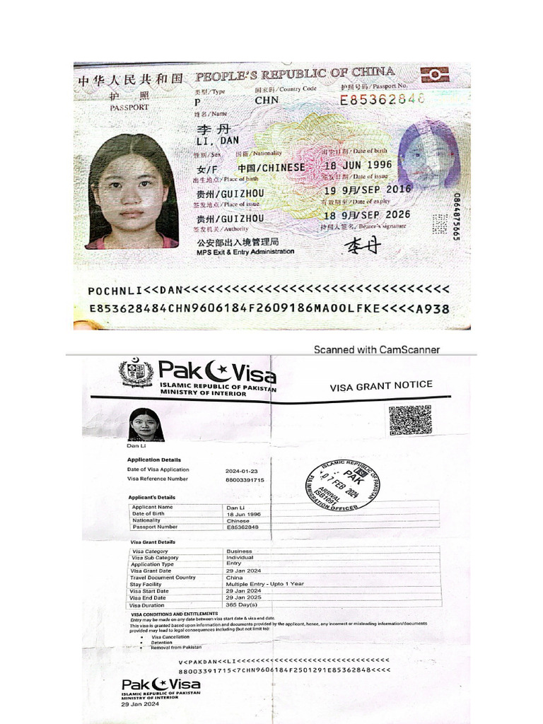 Dan Li 6873 Passport | PDF