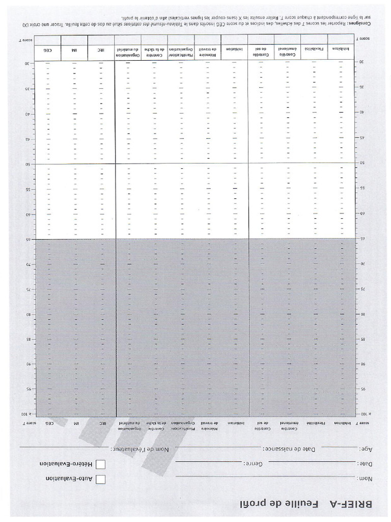 Brief Auto | PDF