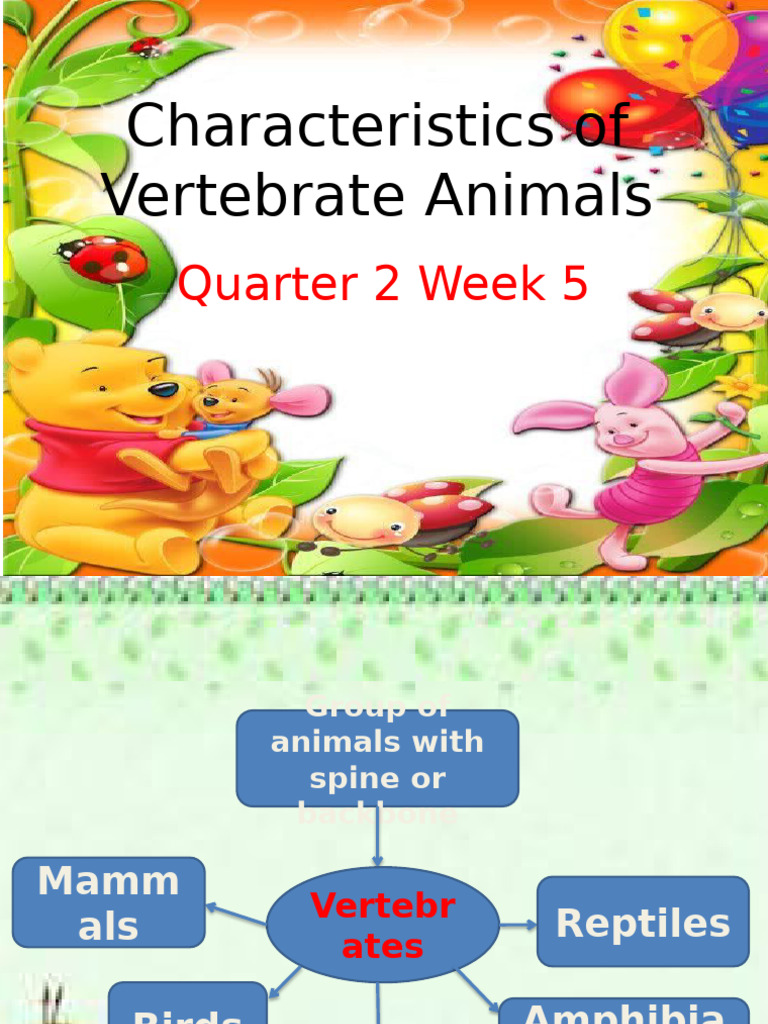 Wk5 Characteristics of Vertebrate Animals | PDF | Amphibian | Zoology