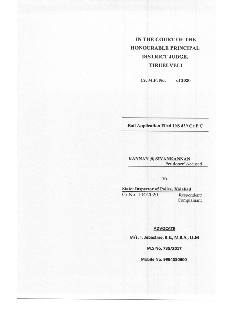 Bail Application | PDF