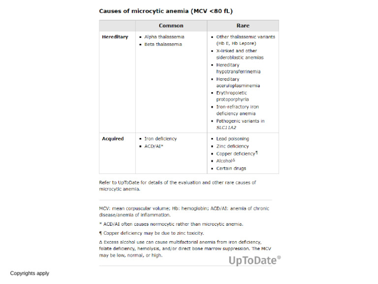 Causes Microcytic Anemia | PDF