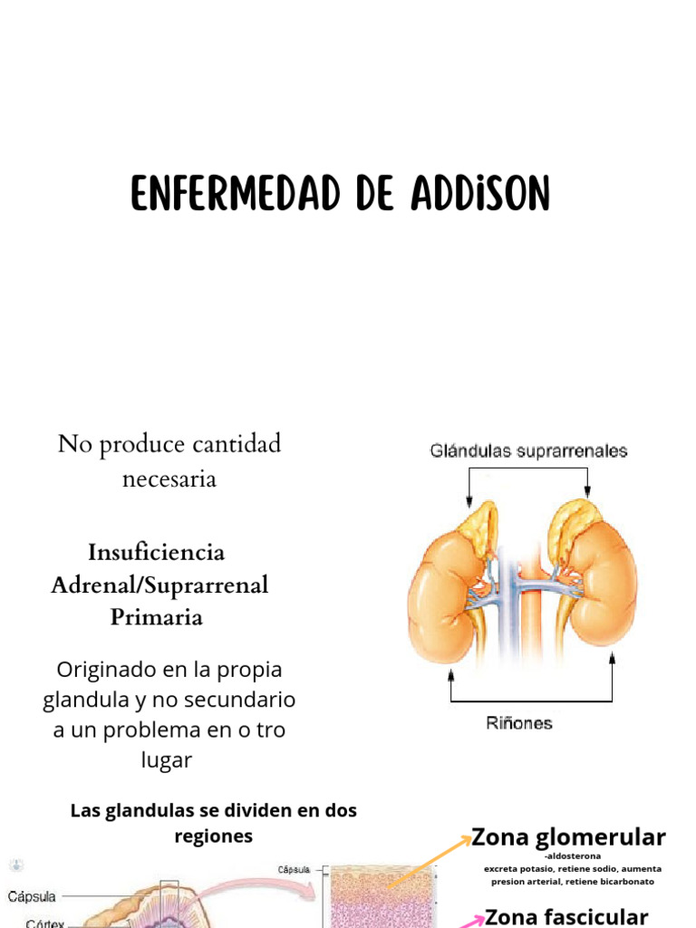 Síntomas y causas de Addison | PDF | Glándula suprarrenal | Sistema ...