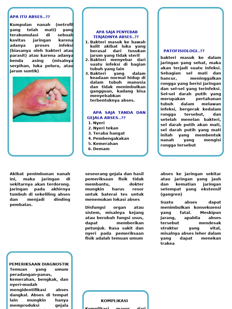 Leaflet Abses | PDF