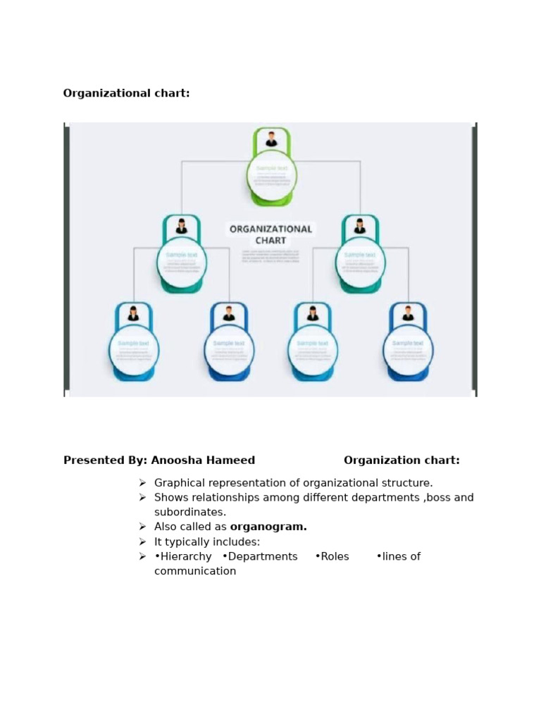 Hospital Org Chart Overview | PDF