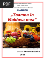 Toamna Aurie - Versurile Cântecului | PDF
