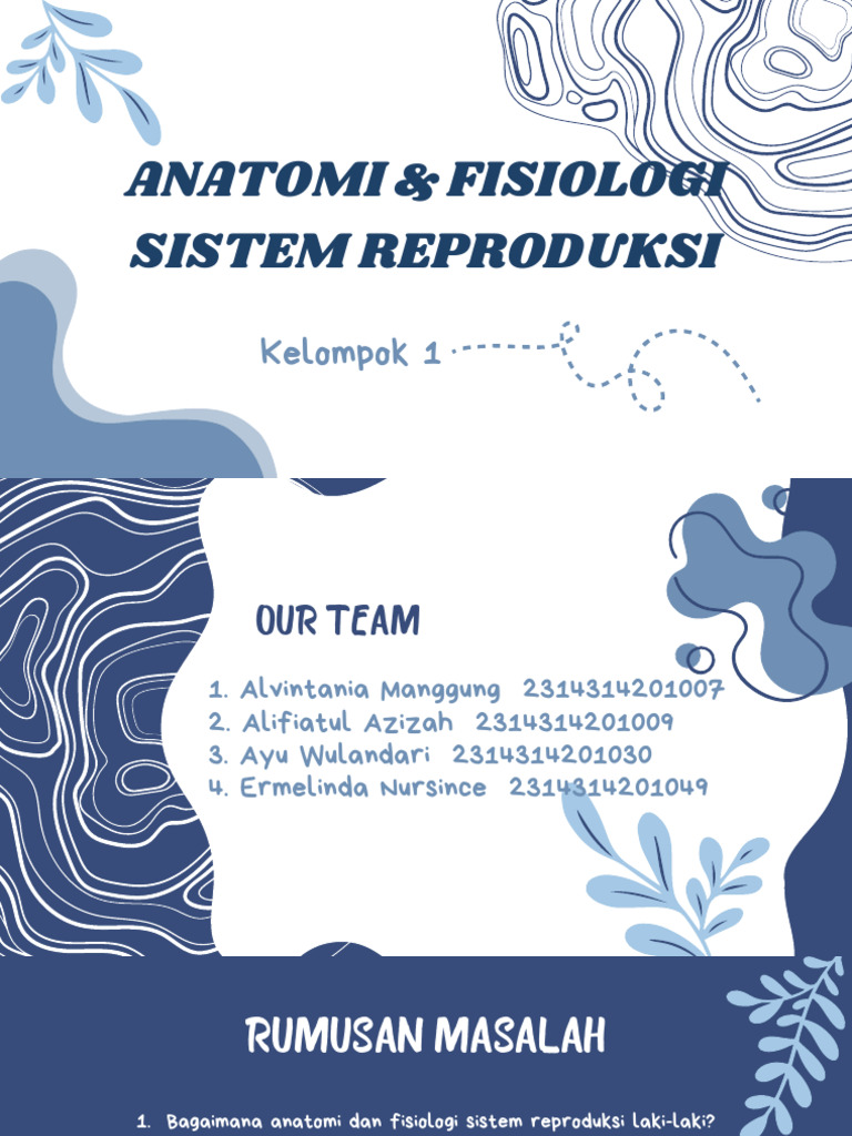 Anatomi Dan Fisiologi Sistem Reproduksi | PDF | Pengembangan Diri | Kesehatan Holistik