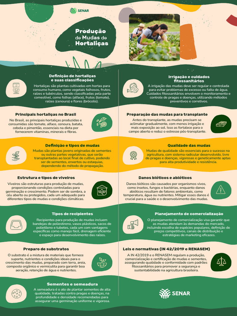 Produção de Mudas de Hortaliças | PDF | Agricultura | Legumes