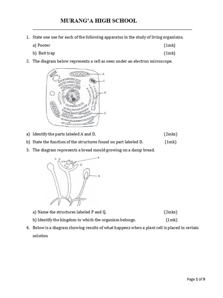 Biology Revision Questions | PDF | Kidney | Anatomy