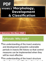 Biting and Chewing Insect Mouthparts | PDF | Insects | Arthropods