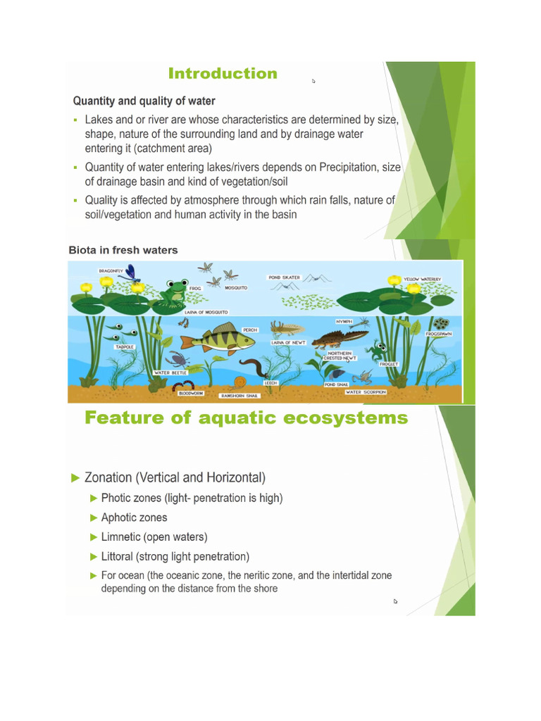 Aquatic Ecosystems | PDF
