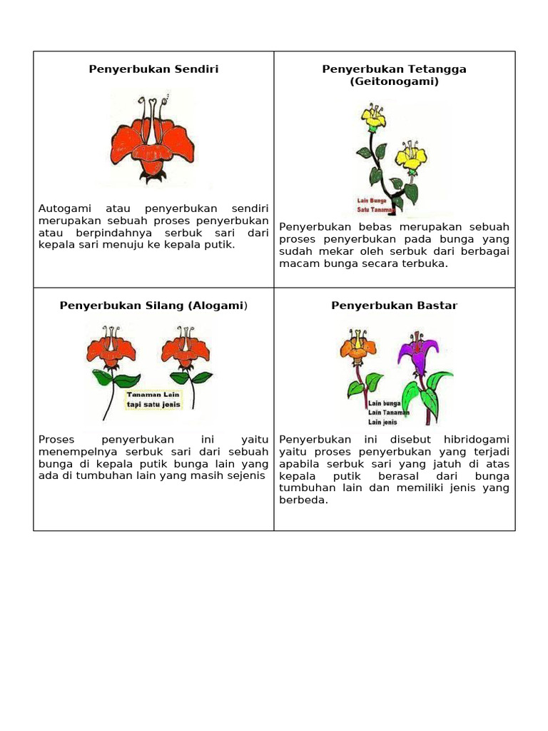 Proses Penyerbukan pada Tumbuhan | PDF