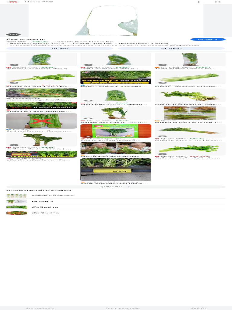 searchq=ขึ้นช่าย+แม็คโคร&sca esv=1e316cb0aa4d08d4&sca upv=1&rlz=1C9BKJA enTH967TH967&hl=th&udm=2 ...