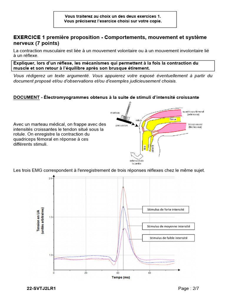 Sujets 1 Système Nerveux | PDF | Muscle | Cerveau