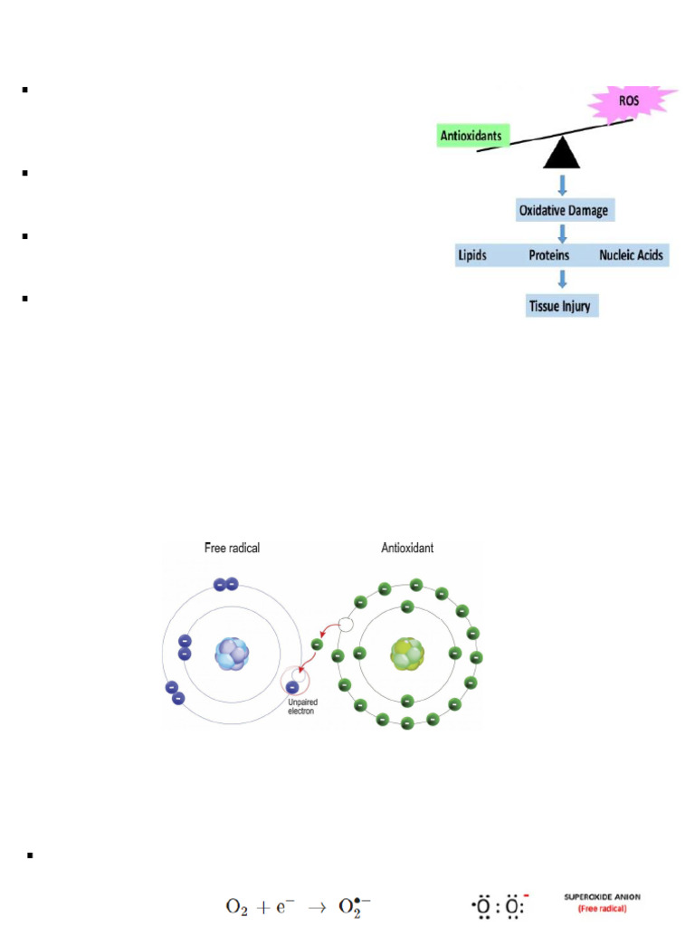 Free Radicals - Lecture 2 | PDF | Hydrogen Peroxide | Radical (Chemistry)