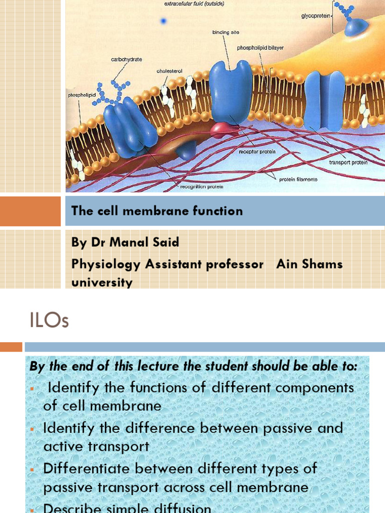 Cell Membrane and Simple Diffusion | PDF | Cell Membrane | Diffusion