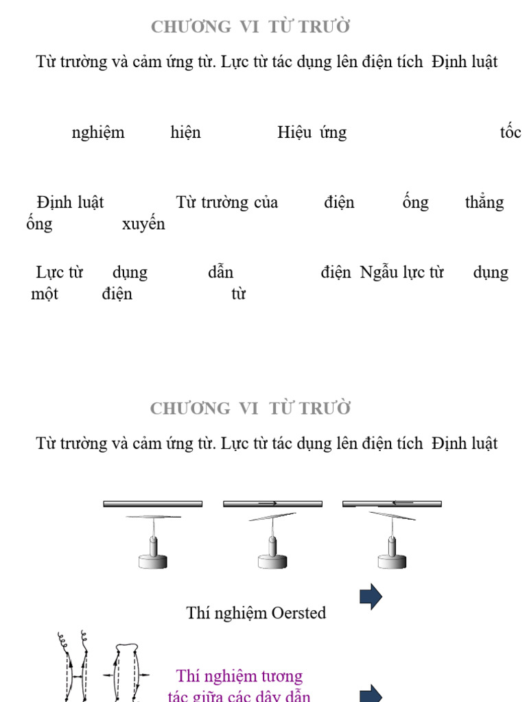 Chapter 6 Tu Truong | PDF