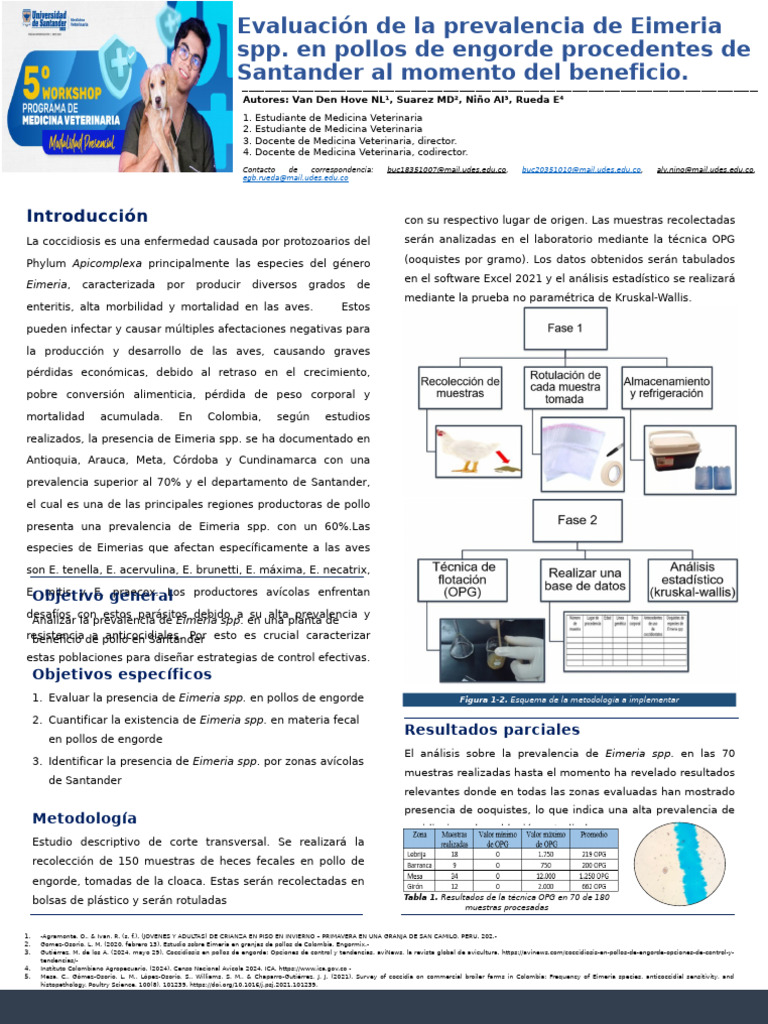 Plantilla Poster 5° Workshop MV Michell Suarez - Nathalie Van Den Hove1 ...