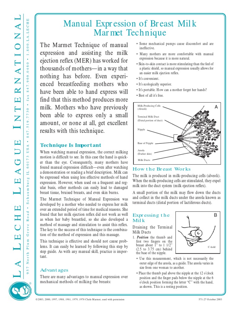 Marmet Technique | Breast | Lactation