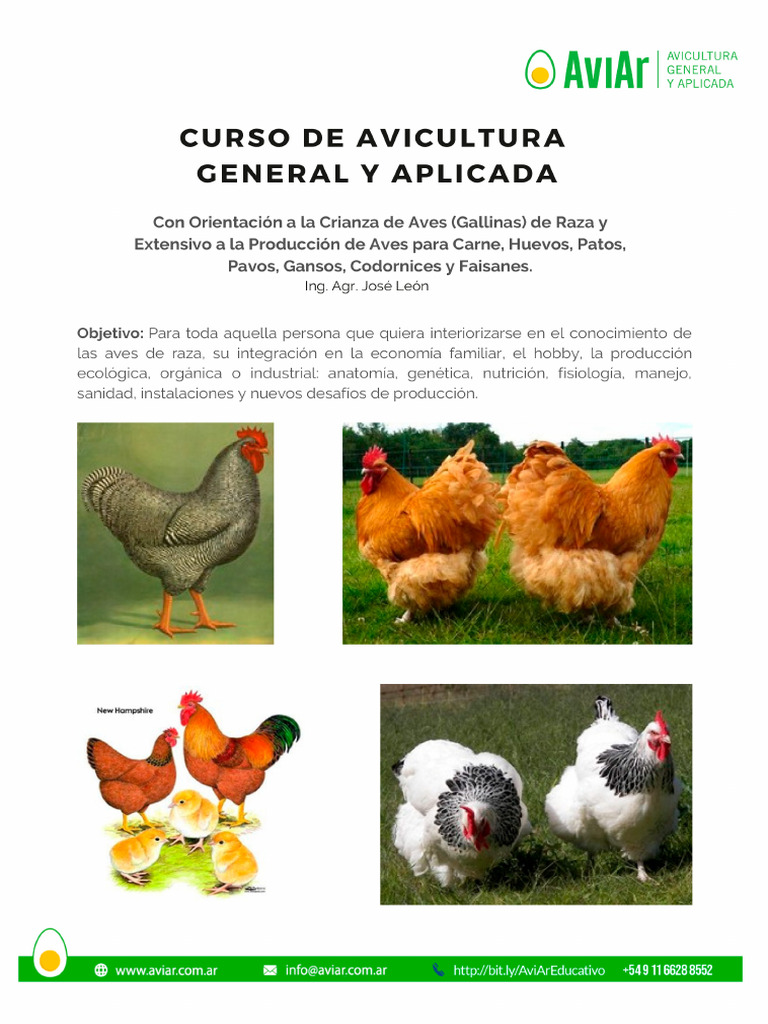 Programa Curso de AVIAR | PDF