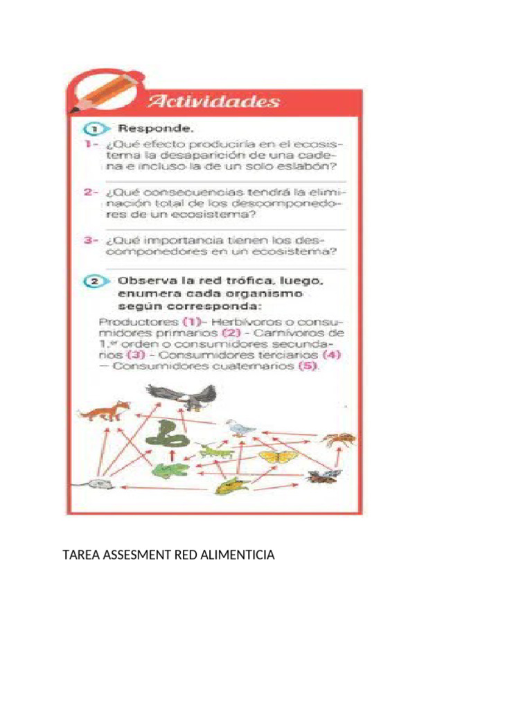 Tarea Assesment Red Alimenticia | PDF