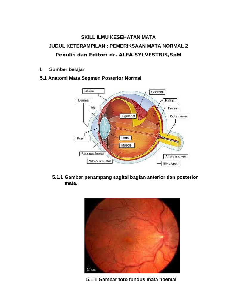 Pemeriksaan Mata Normal | PDF