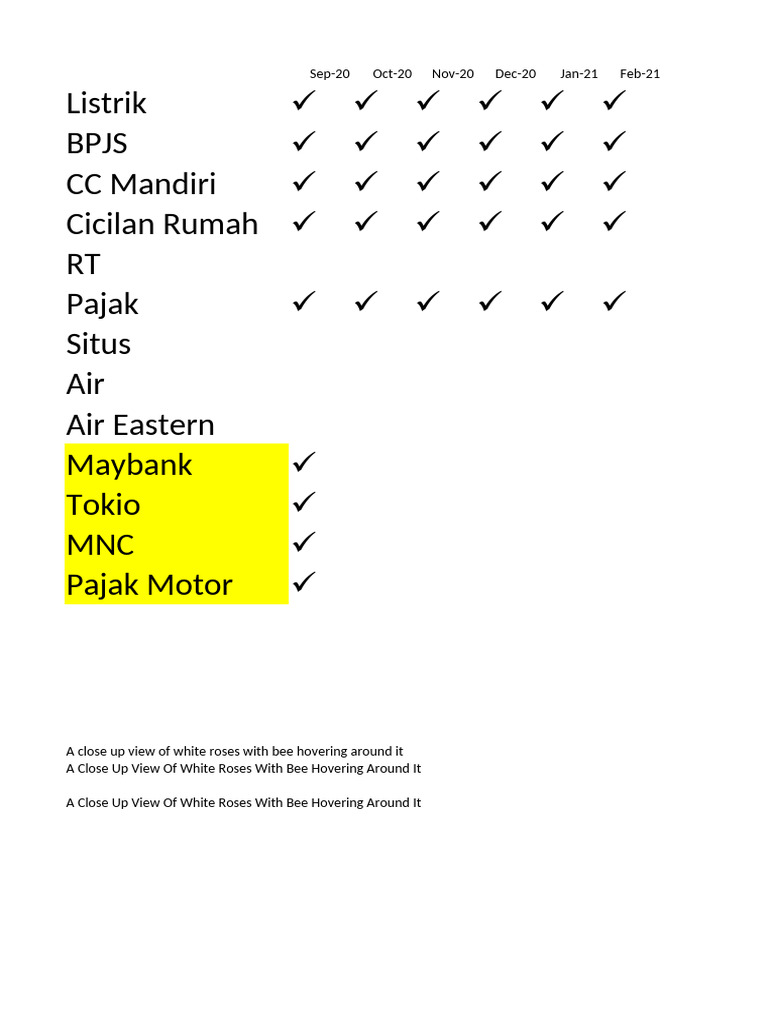 Bills | PDF