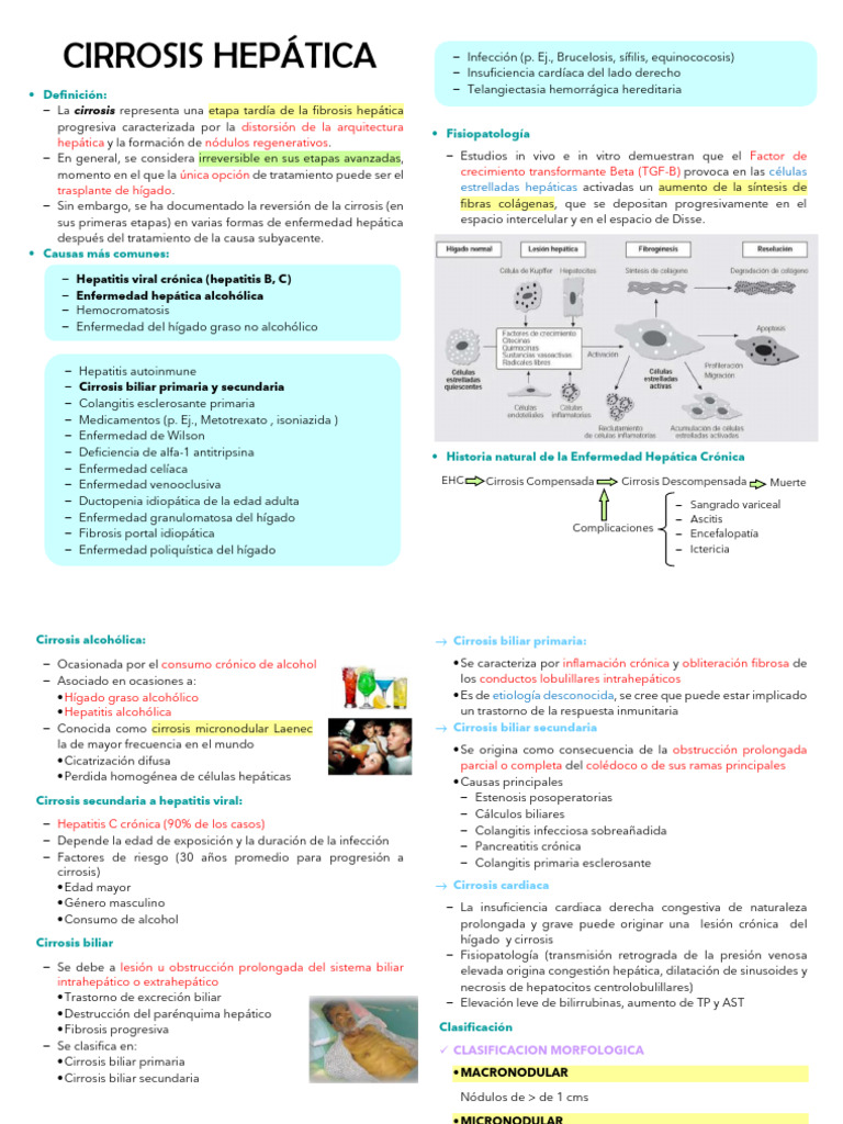 U3-T11-Cirrosis Hepatica | PDF | Cirrosis | Hepatitis