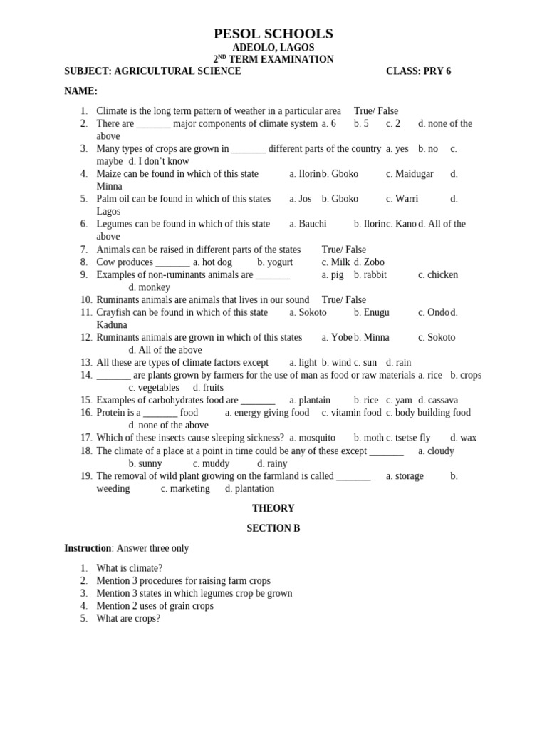 Pesol Schools | PDF | Foods | Nutrition